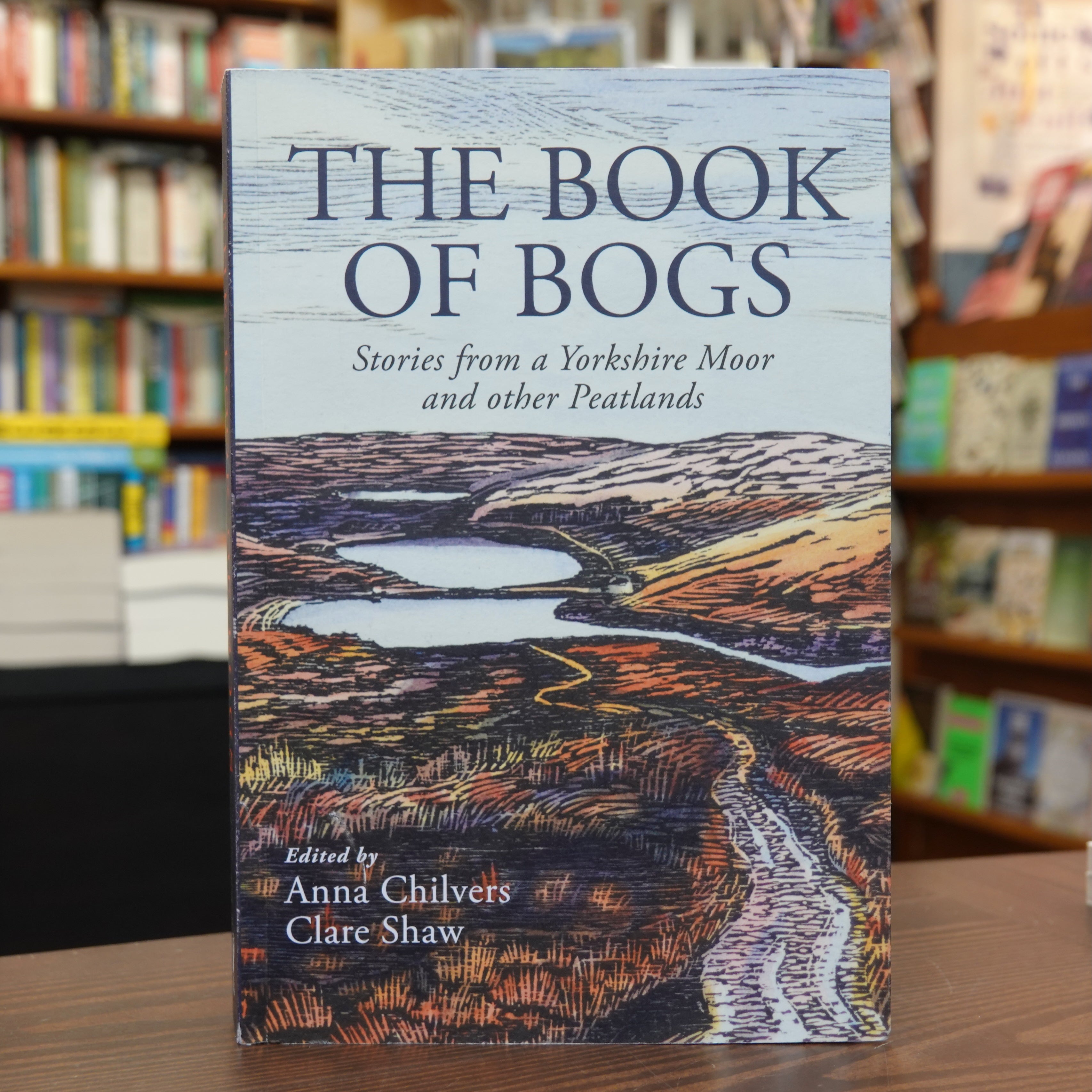 anna chilvers author