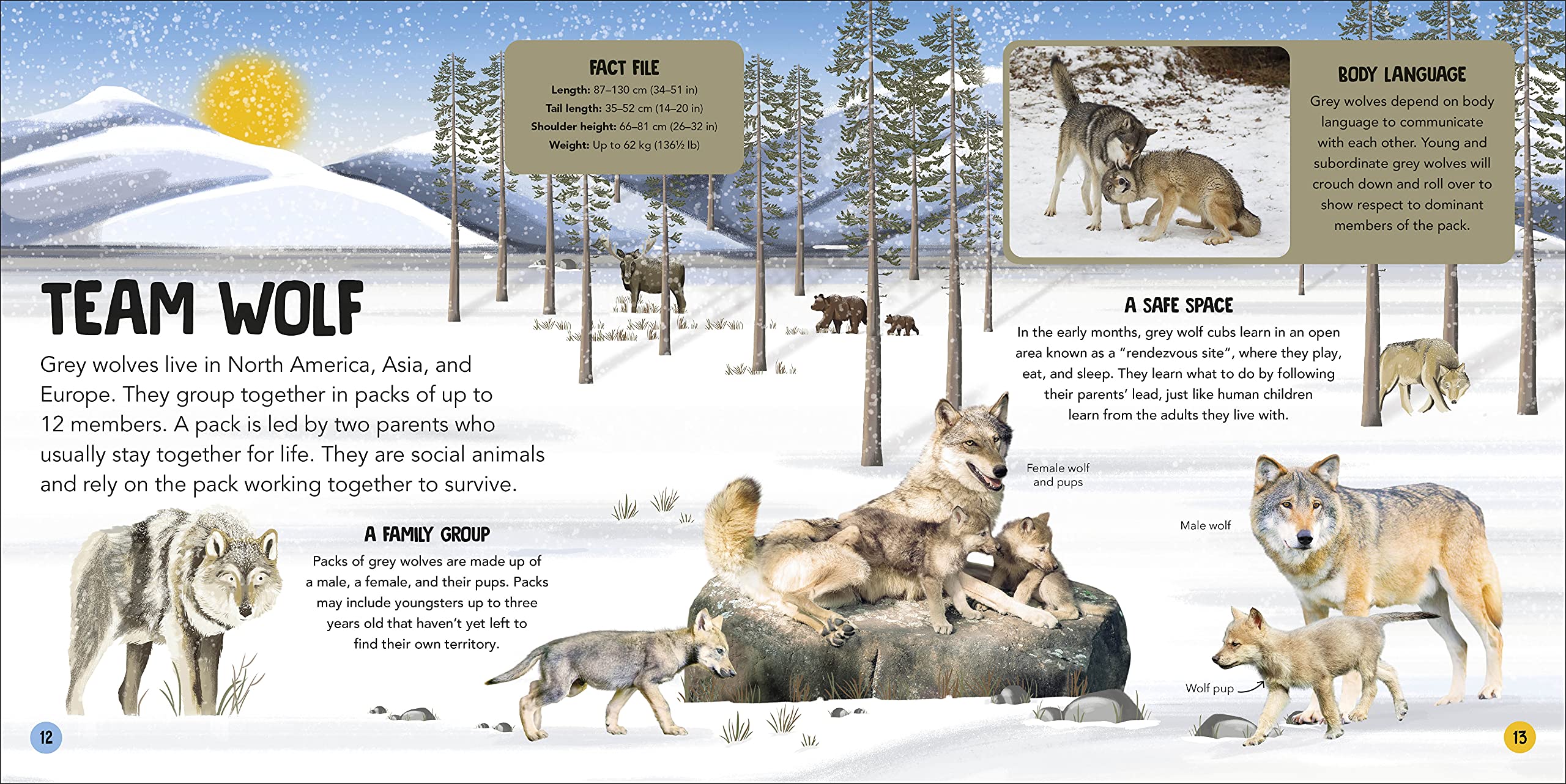 Animals Working Together To Survive