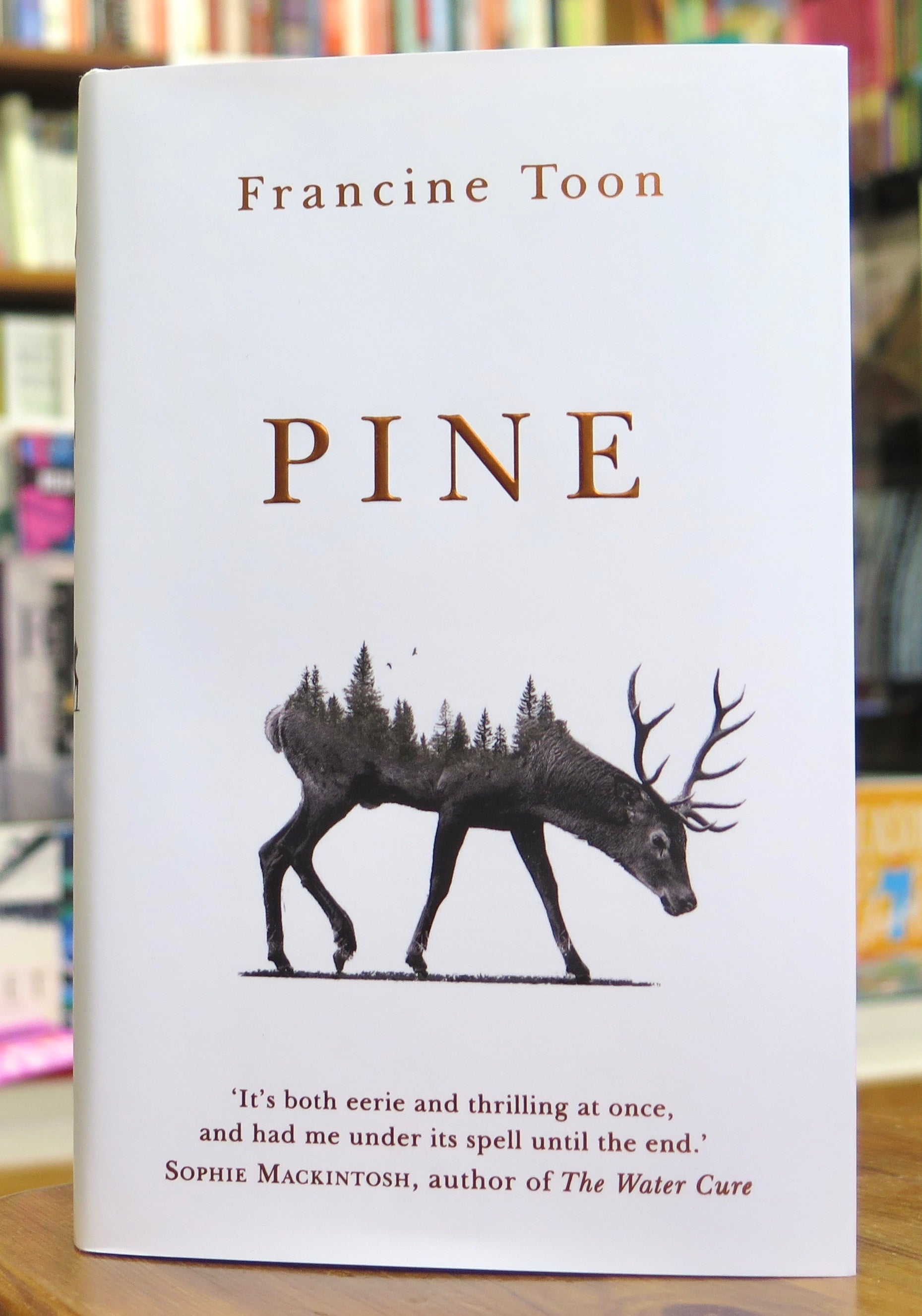 Francine Toon, Pine | Sam Read Bookseller Online Shop
